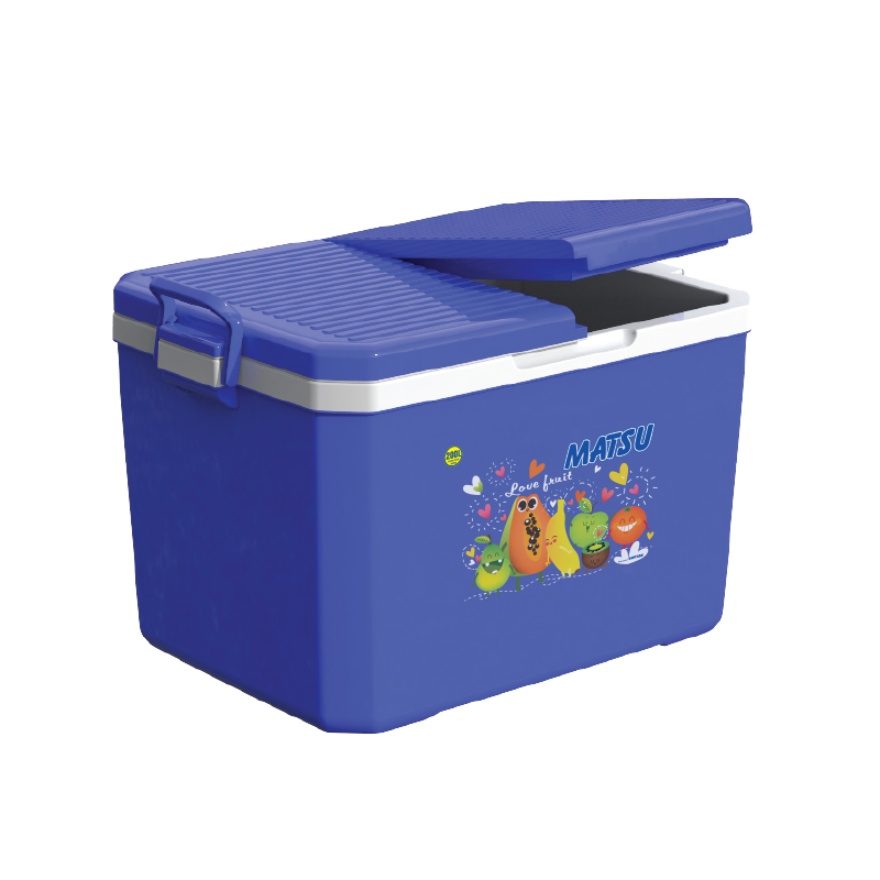 Spit Lid Cooler Box 200L - Duy Tan Plastics