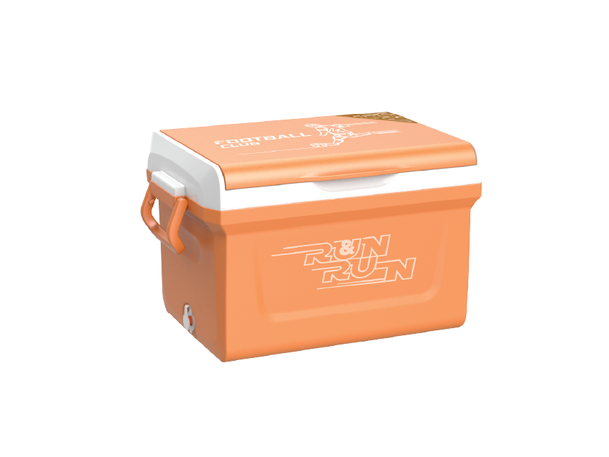 ICY Cooler Box 45L - Duy Tan Plastics